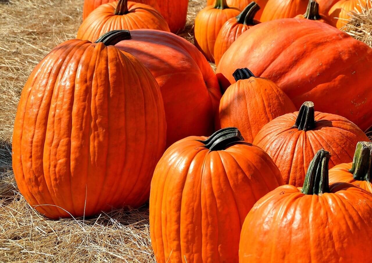 5 Fall Festival Ideas For Church MediaShout